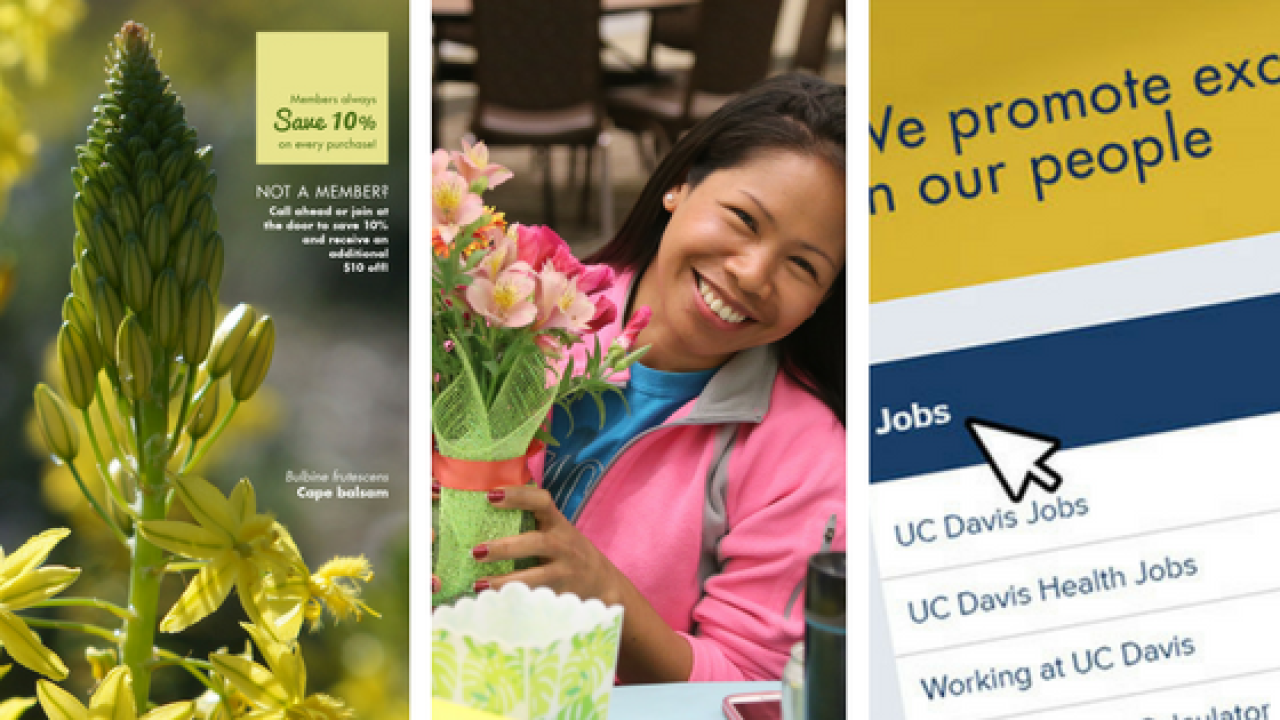 Communications | Finance, Operations and Administration